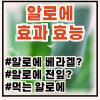 먹는 알로에효과 및 생알로에 효능 Feat 부작용 알로에전잎의 알로에베라겔 네이버 블로그